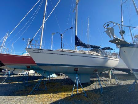 1986 PEARSON 303 PEARSON Sloop Sail Boat For Sale in Riva, MD on...