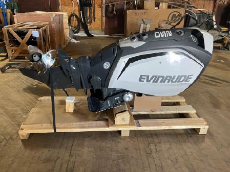 2017 EVINRUDE 250 E TEC Single Outboard Engine Boat For Sale in ...